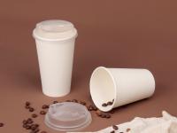China Biodegradable Plastic Free Craft Coffee Cup Degradable Double Wall Paper Cups Recyclable for sale