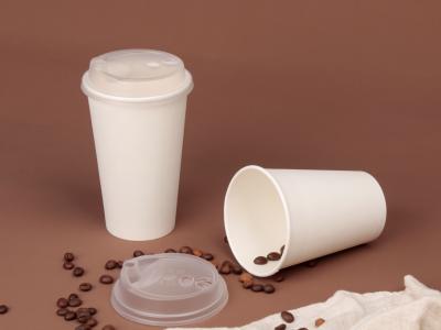 China Biodegradable Plastic Free Craft Coffee Cup Degradable Double Wall Paper Cups Recyclable for sale