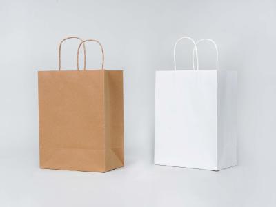 China White And Brown Twisted Handle Paper Bags Biodegradable Kraft Paper Carrier Bags for sale