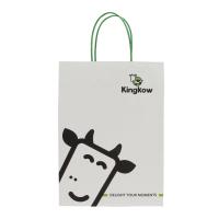 China White Kraft Paper Twist Handle Bags Turn Top Shopping Bag For Clothes Shoes for sale