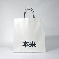 China Turn Top Kraft Paper Handbags For Shoes Packaging Brown Twist Handle Paper Bags for sale