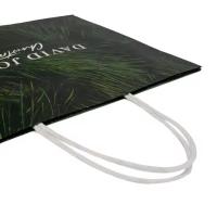 China Custom J Cut Paper Bag Recyclable Clothing Kraft Paper Bag With Twisted Handle for sale