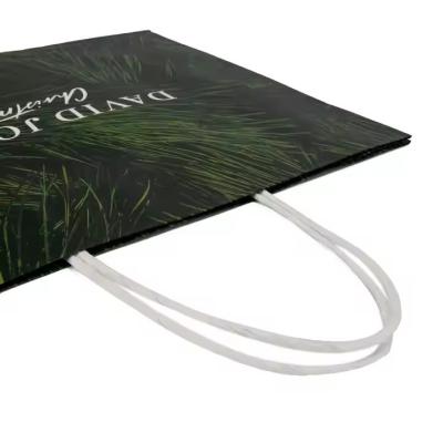 China Custom J Cut Paper Bag Recyclable Clothing Kraft Paper Bag With Twisted Handle for sale