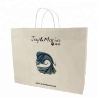 China Recycled J Cut Paper Bag Eco Friendly Flexo Printing Twist Handle Carrier Bags for sale
