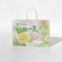 China Customize Design Shopping Paper Bag Craft Paper Bags Printing Logo With Twisted Handles for sale