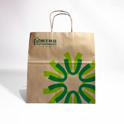 China Wholesale Custom Recyclable Paper Gift Bags Eco-Friendly Retail Eco-Friendly Shopping Bags Printing for sale