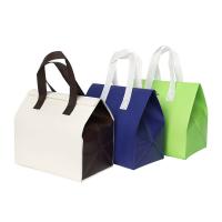 China Insulation Bag Lunch Cake Pack Non-woven Seafood Cooler Bag Non Woven Fabric Portable Takeaway Fast Food Fresh Take-out for sale