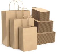 China Customized Carrier Recycling Kraft Paper Bag Luxurious White/Brown Shopping Gift Bag Artistic Twisted Handle for sale