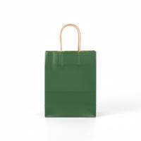 China Custom Logo Printing Kraft Paper Handle Paper Bag With Twisted Handle Recyclable Kraft Paper Bag for sale