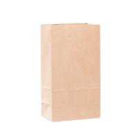 China Kraft Paper Bags Heavy Duty Food Delivery Bags With Eco-Friendly Material & Direct Factory Price for sale