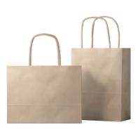 China High-quality kraft paper bag with twisted handles, customizable color and size, made of recyclable art paper, suitable for shopping promotions for sale