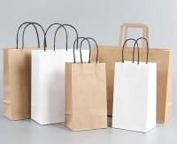 China Multi-colored kraft paper bag with twisted handles, custom printed shopping bag for retail and gift packaging for sale
