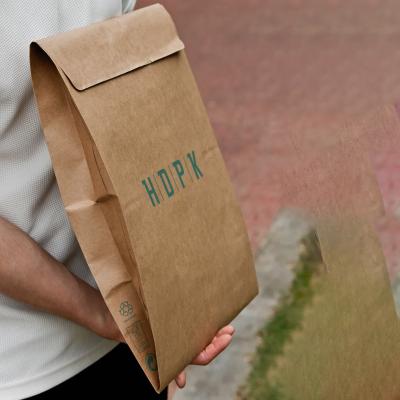 China 100% Eco Friendly Paper Mailer Bag Recycled Brown Kraft Paper Mailing Bags For Delivery for sale