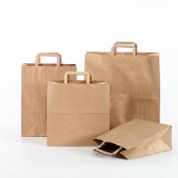 China Flat Handle Biodegradable Compostable Eco-Friendly Craft Grocery Paper Bag for sale
