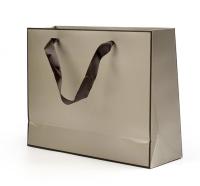 China Custom Logo Jewelry Bag For Counter Shopping Bag With Handle Coated Paper Bag for sale