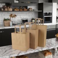 China Merchandise Medium Flat Handle Kraft Bag Plain Paper Shopping Bag for sale