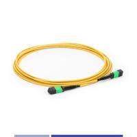 China 12-Core MTP Female to Female Fiber Optic Patch Cable Singlemode G652D 3.0mm OFNP Type B for sale