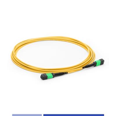 China 12-Core MTP Female to Female Fiber Optic Patch Cable Singlemode G652D 3.0mm OFNP Type B for sale