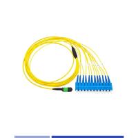 China 12 Core Singlemode OS2 MTP Female to SC Simplex Fiber Patch Cable 3m LSZH 3.0mm Diameter for sale