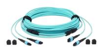 China 24 Fiber OM3 MTP Trunk Cable 3.0mm LSZH with 0.35dB Insertion Loss for 40/100G Ethernet up to 150m for sale
