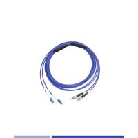 China Duplex LC-FC Armored Fiber Optic Patch Cord 1m LSZH Jacket 3.0mm Singlemode OS2 for Harsh Environments for sale