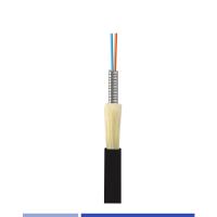 China 12 Fiber Armored Fiber Optic Cable Singlemode G652D OS2 7.0mm LSZH Jacket for Indoor Outdoor Use for sale