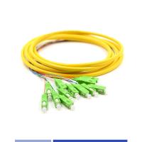 China 12 Strand SC/APC Singlemode Fiber Optic Pigtail 9/125μm OS2 LSZH 3m Cable with ≤0.3dB Insertion Loss for sale