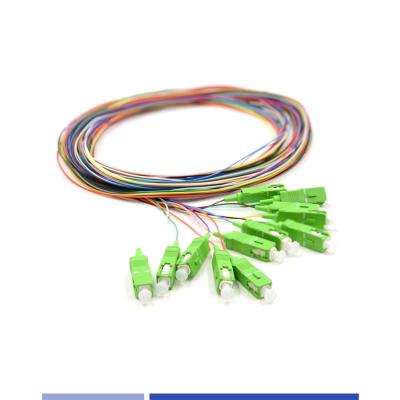 China Singlemode OS2 SC APC Fiber Optic Pigtail 12 Fibers 3m LSZH for FTTH and Data Centers for sale
