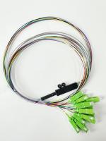China 12 Fiber SC/APC Singlemode Ribbon Fiber Optic Pigtail OS2 9/125 for FTTH for sale