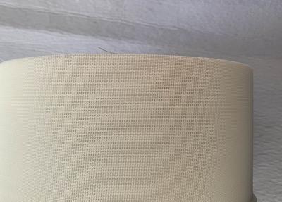 China Plain Weave 09502 Polyester Mesh Belt For Garlic Drying for sale