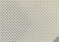China 1x1mm Hole Size Polyester Mesh Belt Square Hole For Drying Fish Food for sale