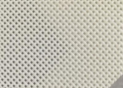 China 1x1mm Hole Size Polyester Mesh Belt Square Hole For Drying Fish Food for sale