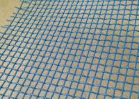 China Blue Color Polyester 0.5mm Hole Dryer Mesh Belt For Fruit And Vegetables for sale