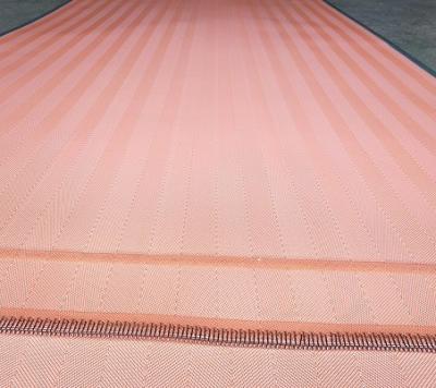 China Polyester Power Plant Wet Desulfurization Mesh Belt 4000mm Width Solid Liquid Separation for sale