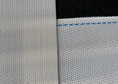 China Polyester Sludge Dewatering Mesh Belt 0.1-6m Width for Sewage Treatment for sale