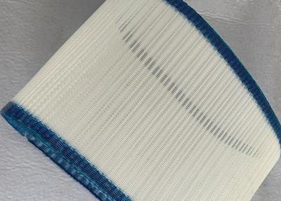 China White Red Green Blue Color Small Middle Large Loop Polyester Dryer Mesh Screen Belt Good Air Permiability for sale