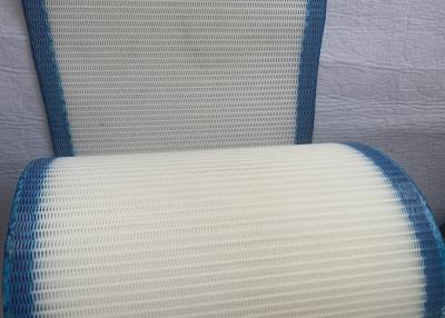 China Polyester Mesh Belt For 3 Meters Width Conveyor In Polyester Industry for sale