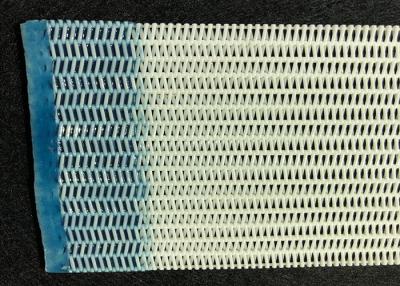 China Papermill Polyester Mesh Belt - 100% Polyester Spiral Press Filter with 150°C Heat Resistance and 10cm Minimum Width for sale