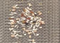 China Nuts Drying 304 Stainless Steel Conveyor Compound Balanced Belt for sale