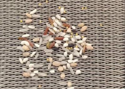 China Nuts Drying 304 Stainless Steel Conveyor Compound Balanced Belt for sale
