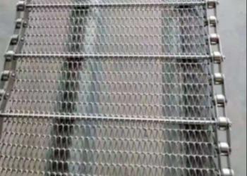 China 201 Stainless Steel Monofilament Mesh Conveyor Belt 1-3mm Wire Diameter for Drying for sale