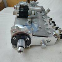 China Diesel Engine Fuel Injection Pump 4063844 4063845 for Cummins 6BT5.9 100% New for sale