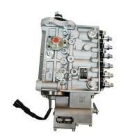 China New Diesel Fuel Injection Pump 5258154 for Cummins 6L8.9 BYC 20kg 6 Month Warranty for sale