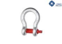 China Galvanized Wire Rope Hardware , G209 Lifting Screw Pin Bow Shackle for sale