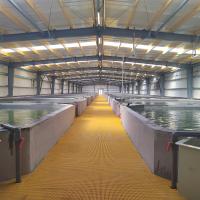 China Steel Base Prefab Steel Building Corrosion Resistant Weatherproof Durable For Workshops And Green House for sale