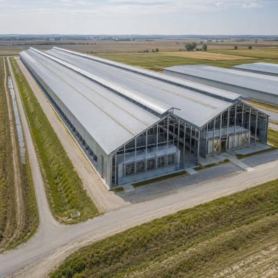 China Modern Steel Framed Agricultural Buildings For Eco Hotels Pre Fab Steel Building for sale