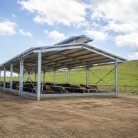 China Steel Framed Agricultural Buildings for Farm Storage and Livestock for sale