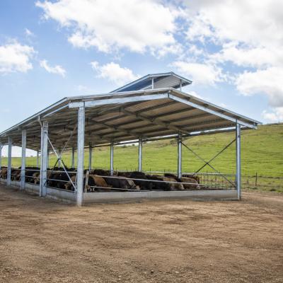 China Steel Framed Agricultural Buildings for Farm Storage and Livestock for sale