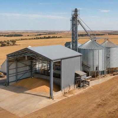 China Customizable Steel Framed Prefabricated Agricultural Buildings Market Steel Structure Farm for sale