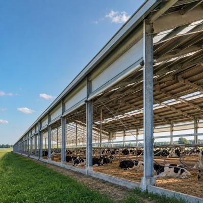 China Durable & Corrosion Resistant Steel Framed Agricultural Buildings Steel Framed for sale